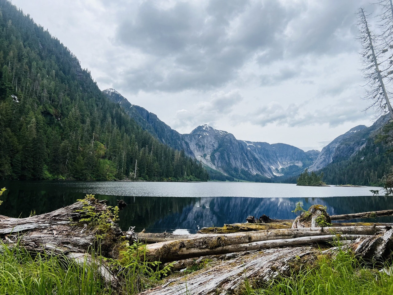 Tongass National Forest — National Forest Foundation