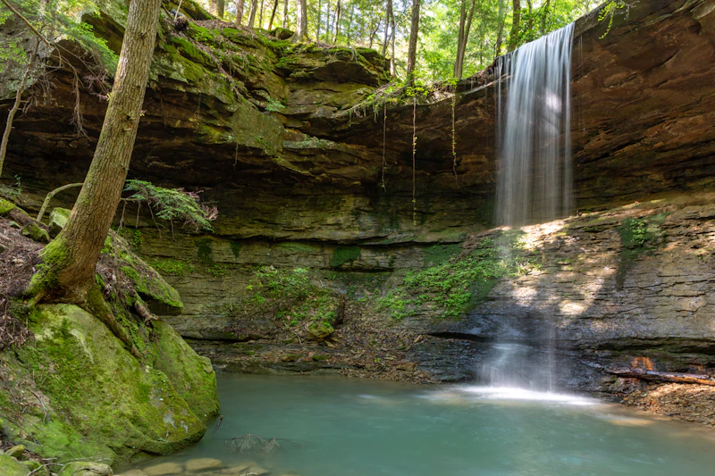 National Forests in Alabama - National Forest Foundation