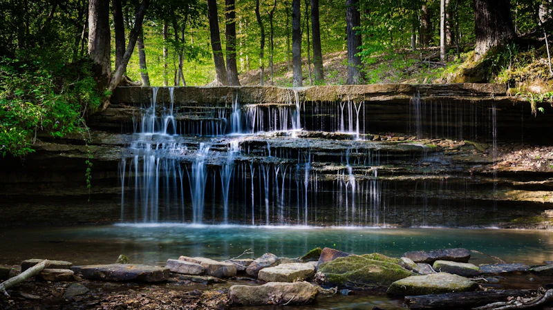 Hoosier National Forest - National Forest Foundation