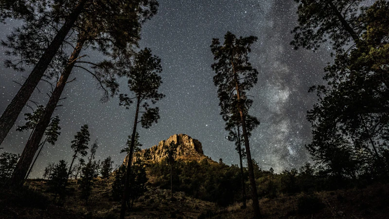 Prescott National Forest — National Forest Foundation