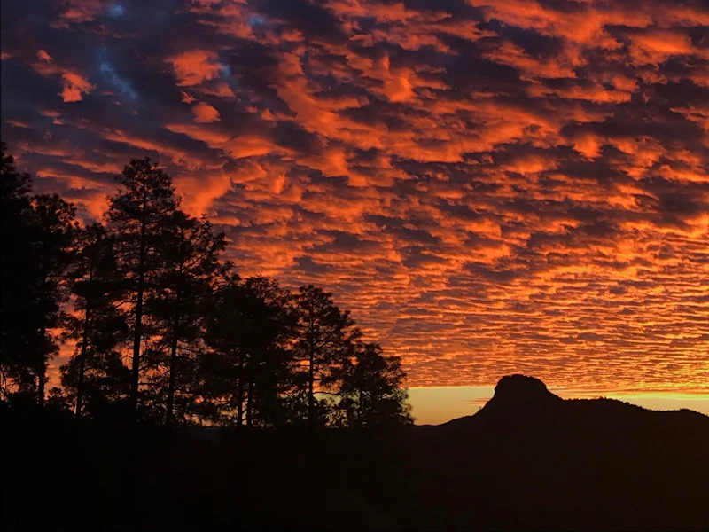 Prescott National Forest - National Forest Foundation