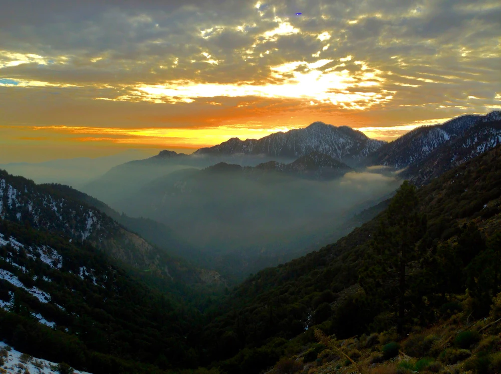 Get Outside on these 15 National Forests near Cities — National Forest ...