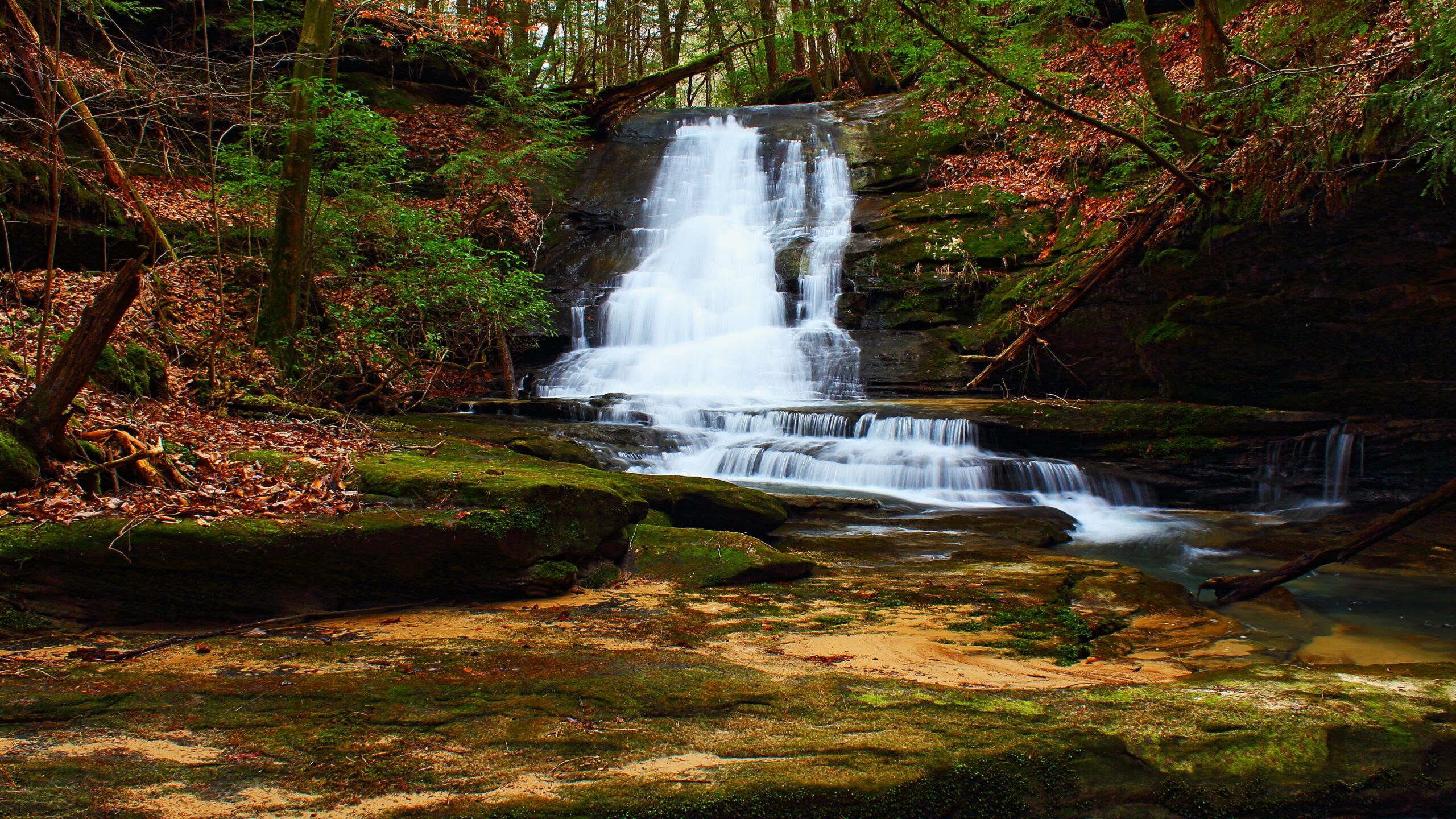 National Forests in Alabama - National Forest Foundation