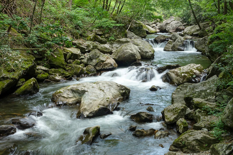 Chattahoochee-Oconee National Forests - National Forest Foundation