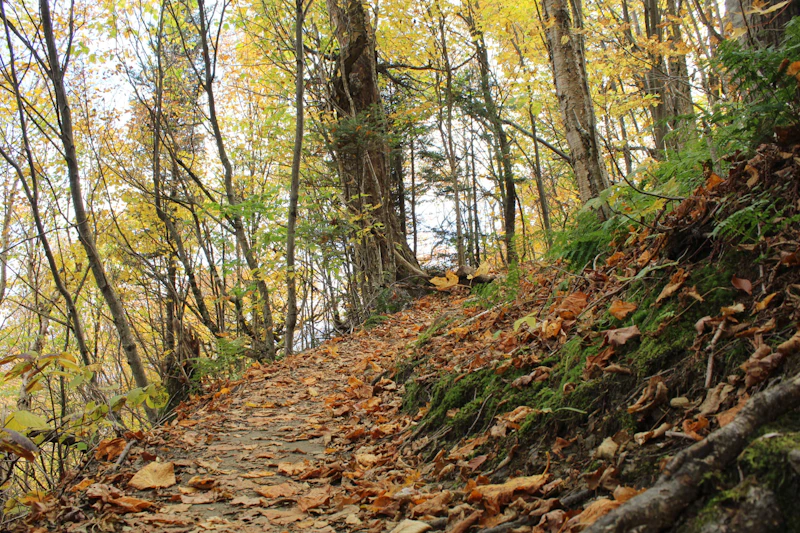 Green Mountain National Forest - National Forest Foundation