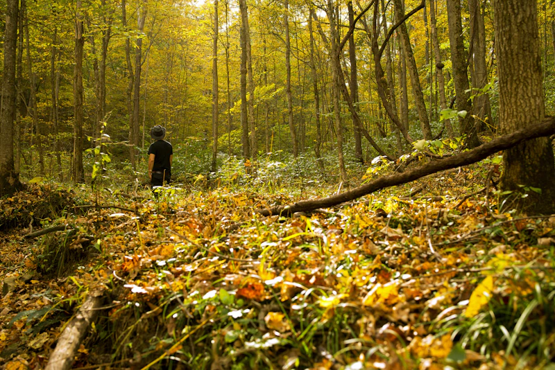 Hoosier National Forest - National Forest Foundation