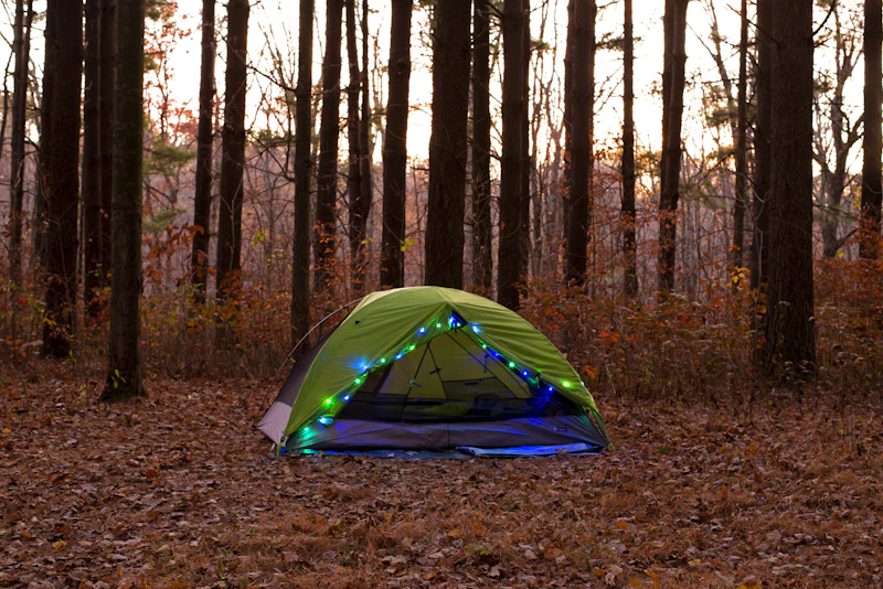 Hoosier National Forest - National Forest Foundation