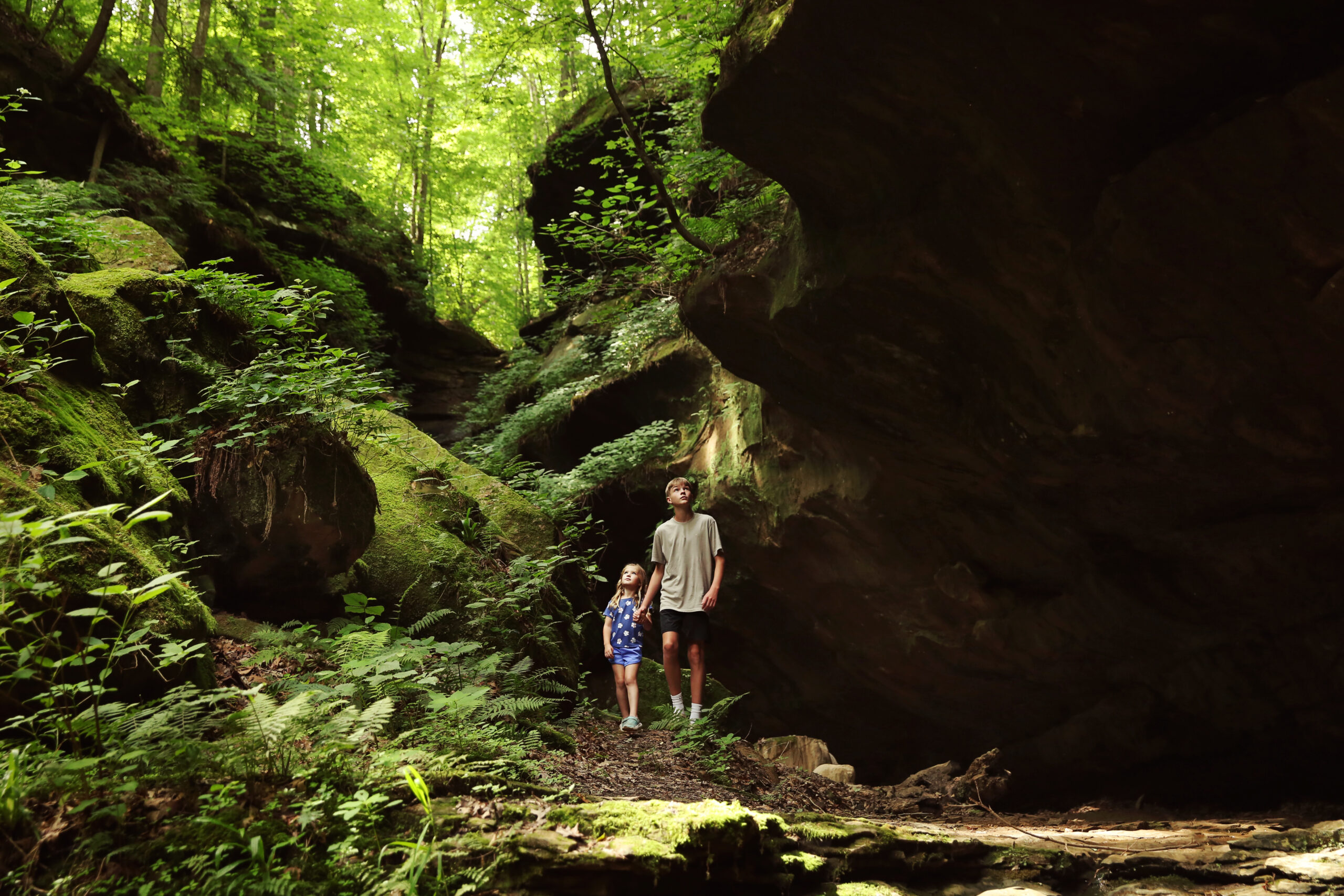 Hoosier National Forest - National Forest Foundation