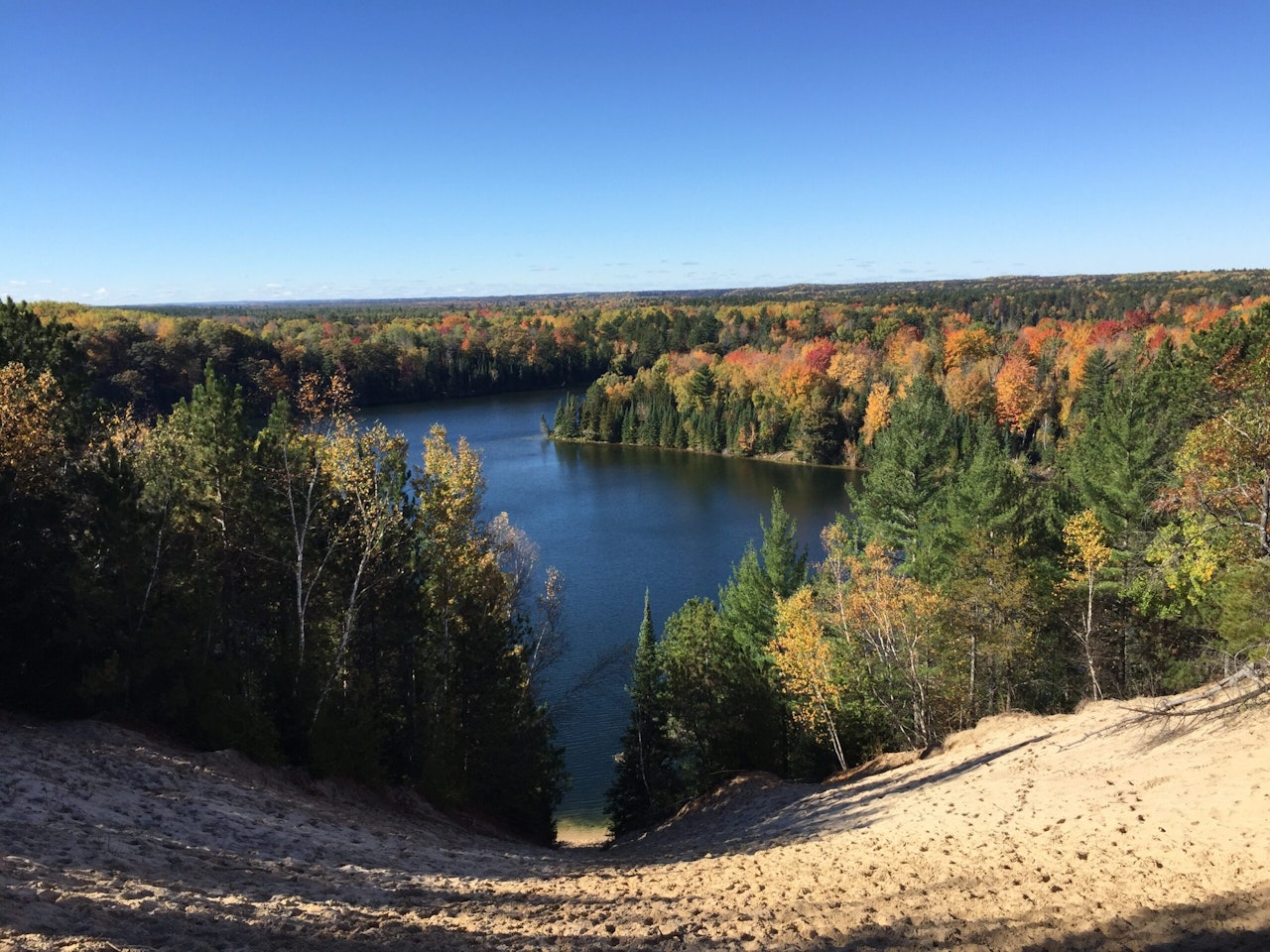 Get Outside on these 15 National Forests near Cities — National Forest ...