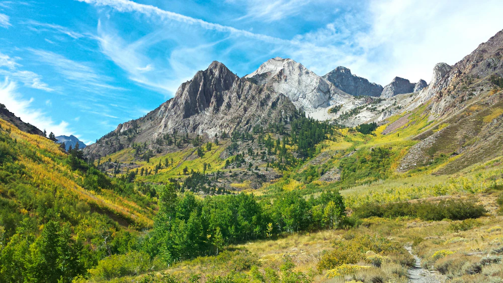Wilderness 101 — National Forest Foundation