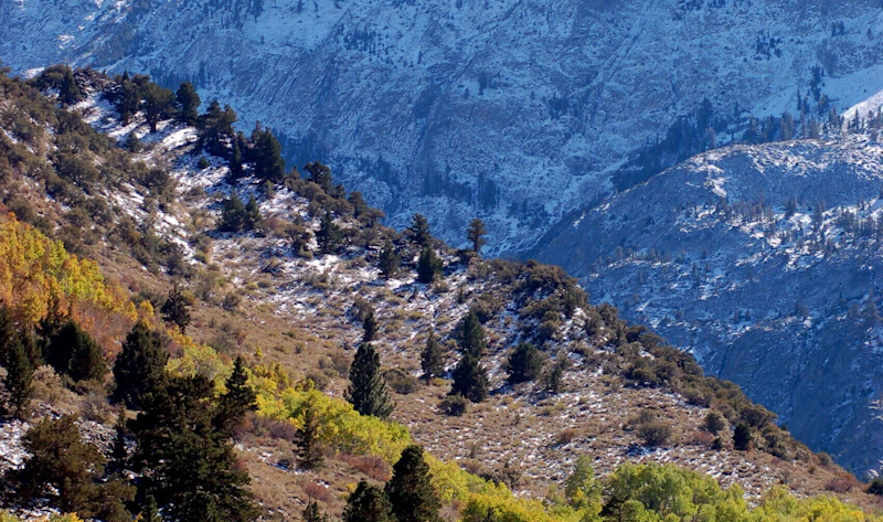 Inyo National Forest - National Forest Foundation
