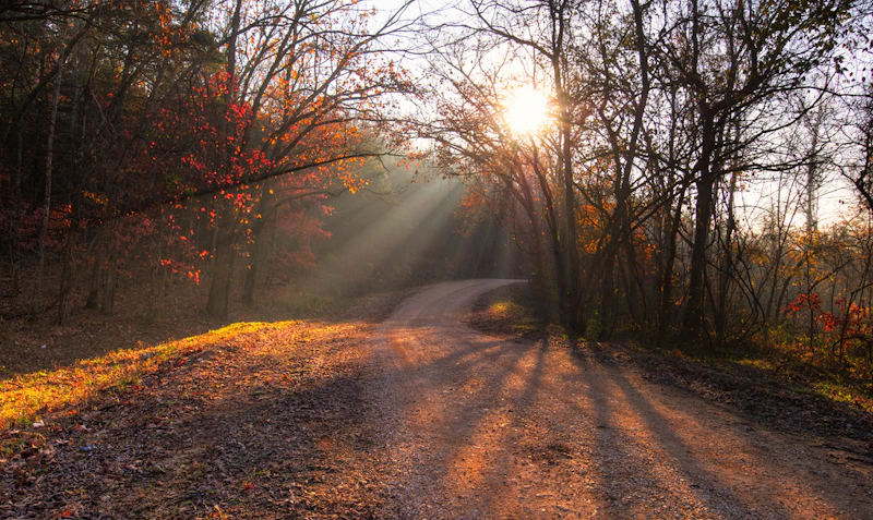 Mark Twain National Forest - National Forest Foundation