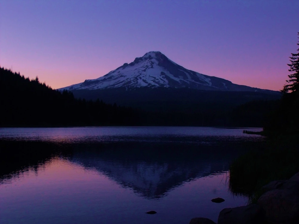 Get Outside on these 15 National Forests near Cities — National Forest ...