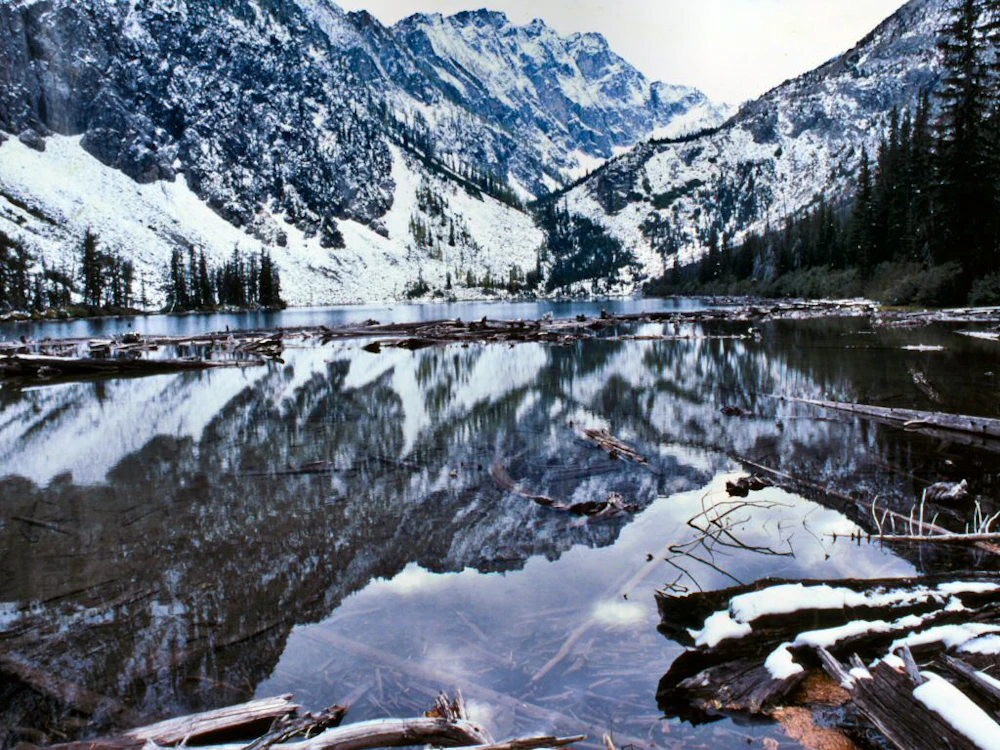 Get Outside on these 15 National Forests near Cities — National Forest ...