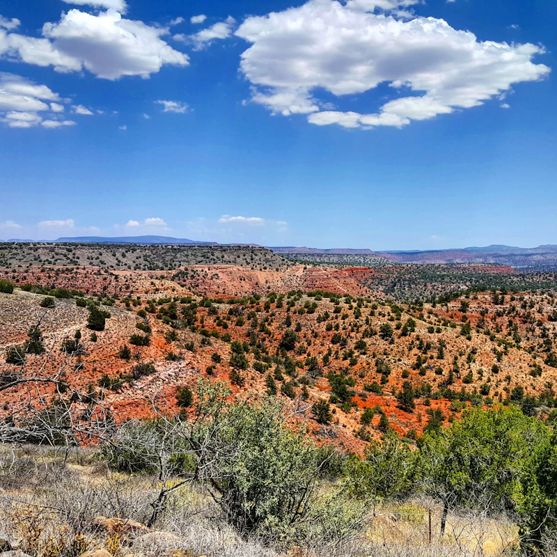 Prescott National Forest — National Forest Foundation