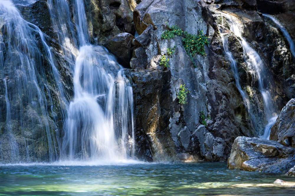 NFF and Forest Service announce $158,000 in grants to support ...