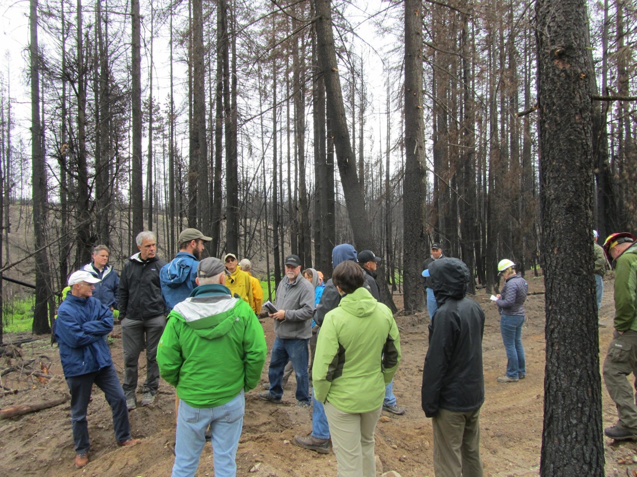 NFF Capacity-building Grant Supports Collaborative Post-fire ...