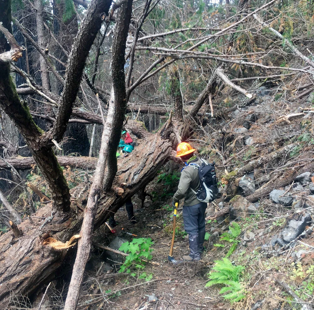 Columbia River Gorge – Working to Reopen Hiking Trails after the Eagle ...