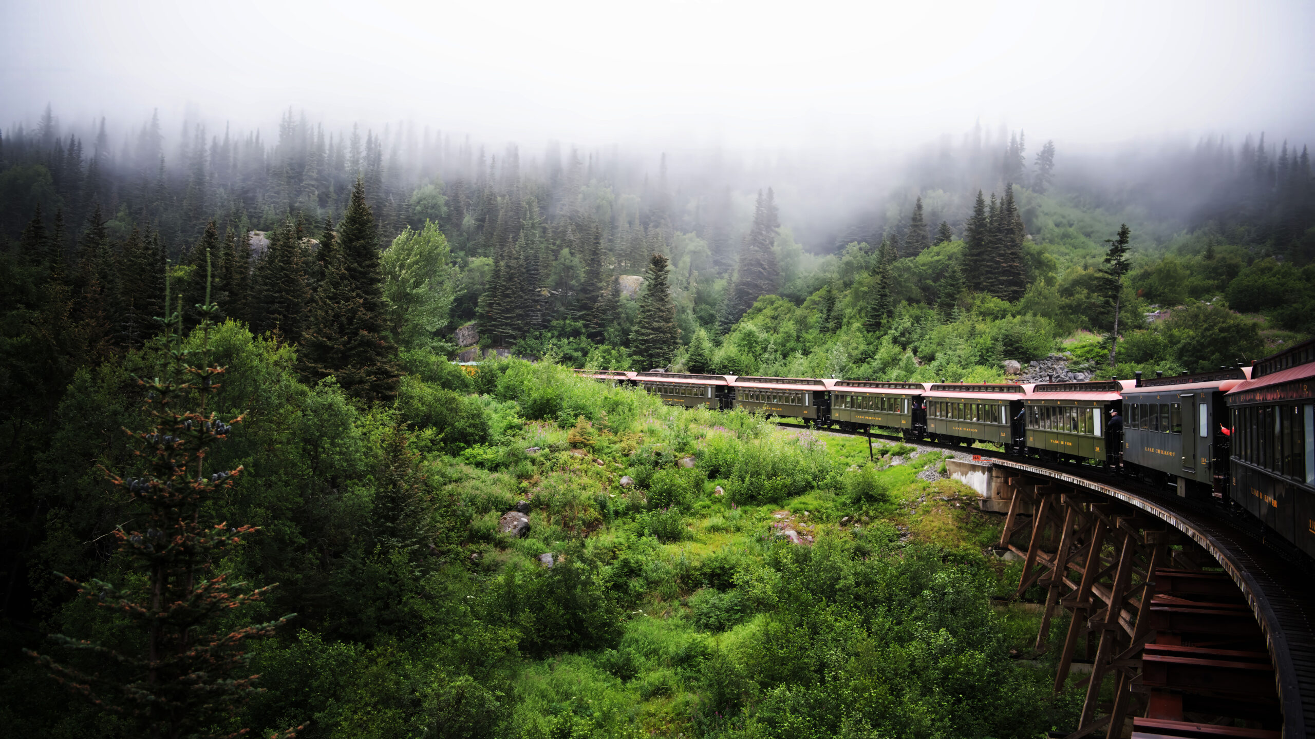 Tongass National Forest — National Forest Foundation