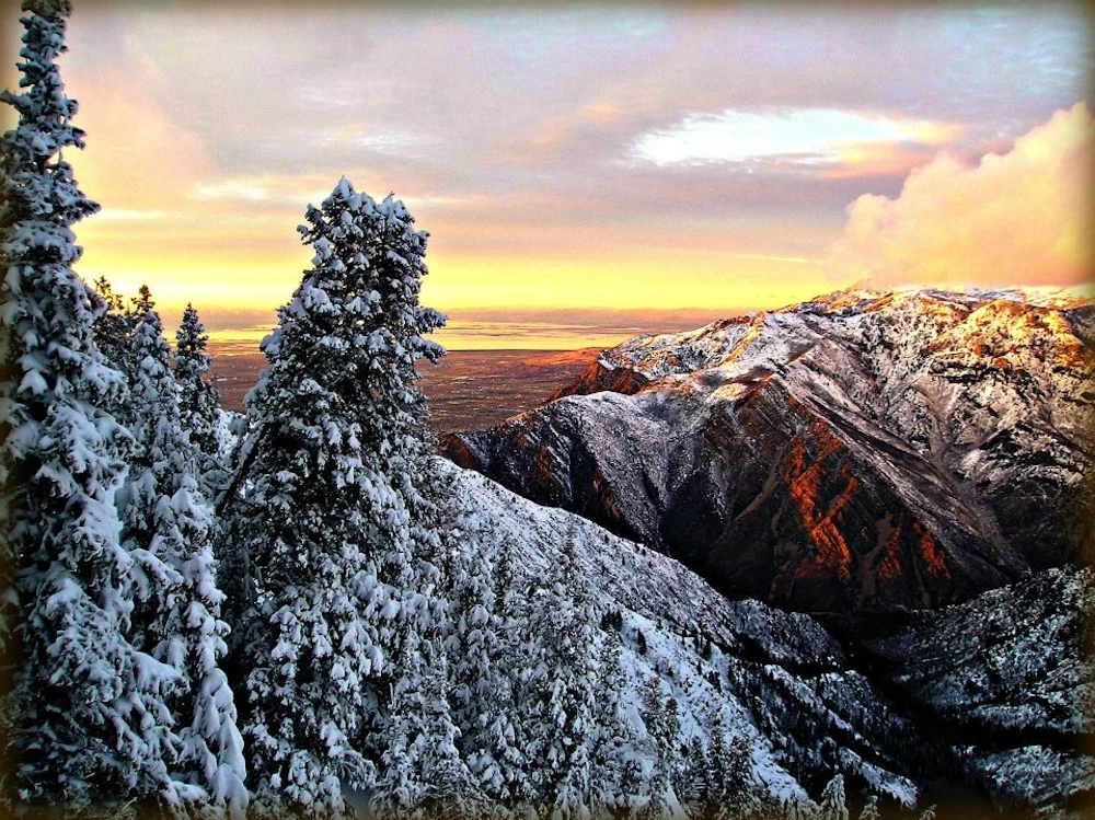 Get Outside on these 15 National Forests near Cities — National Forest ...
