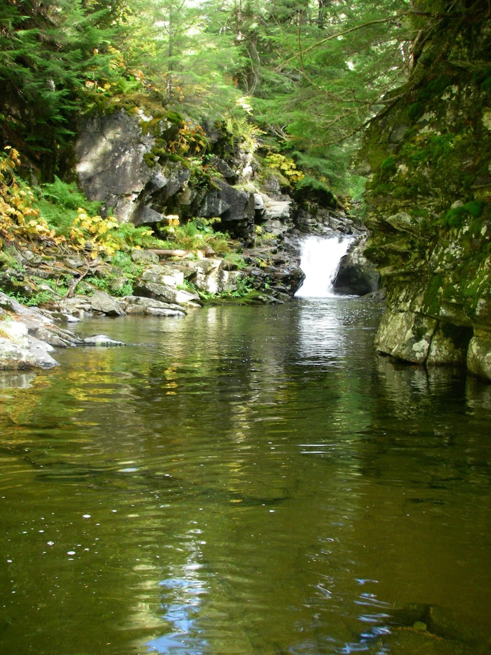 Citizen scientists, the Equinox Foundation, and the NFF Team Up to ...