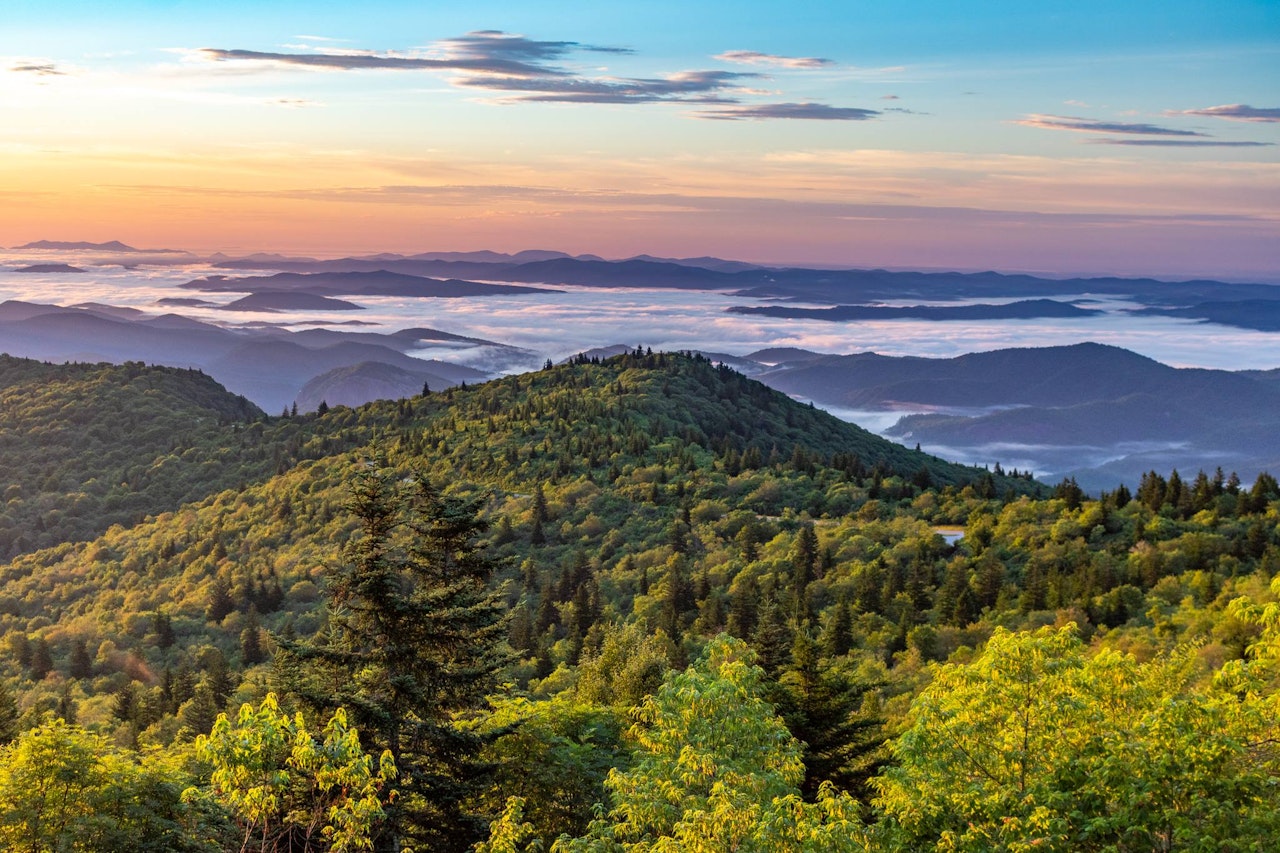 National Forests in North Carolina - National Forest Foundation