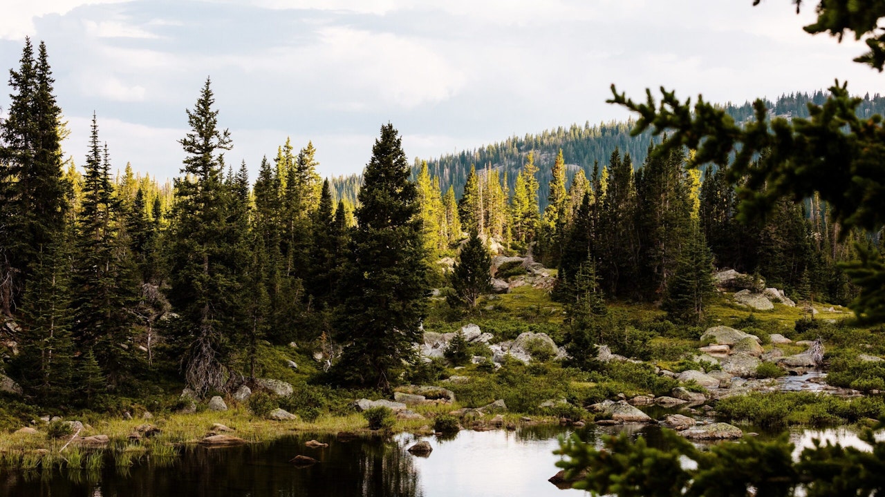 Find a Forest — National Forest Foundation