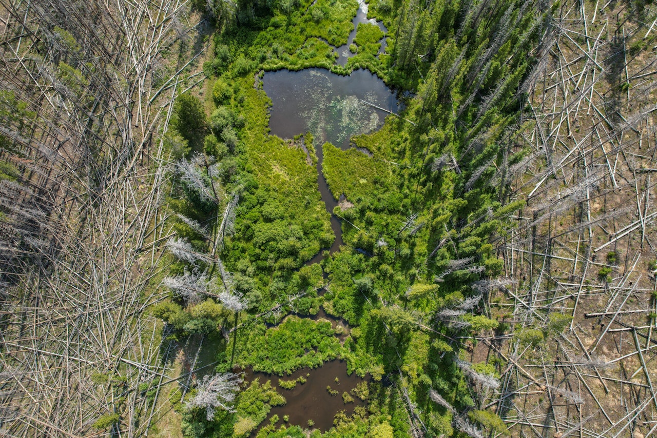 Building Better Watersheds: NFF's LTPBR Monitoring Framework — National ...