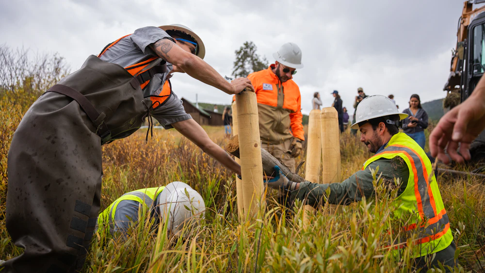 Building Better Watersheds: NFF's LTPBR Monitoring Framework — National ...